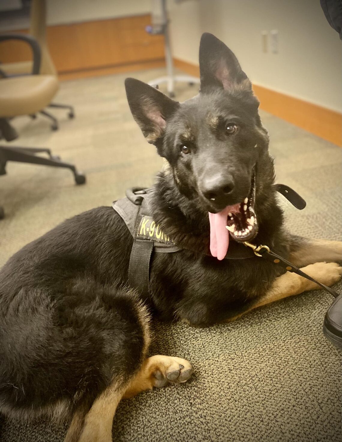 K-9s & Handlers – Friends of the Reading Police K-9 Unit